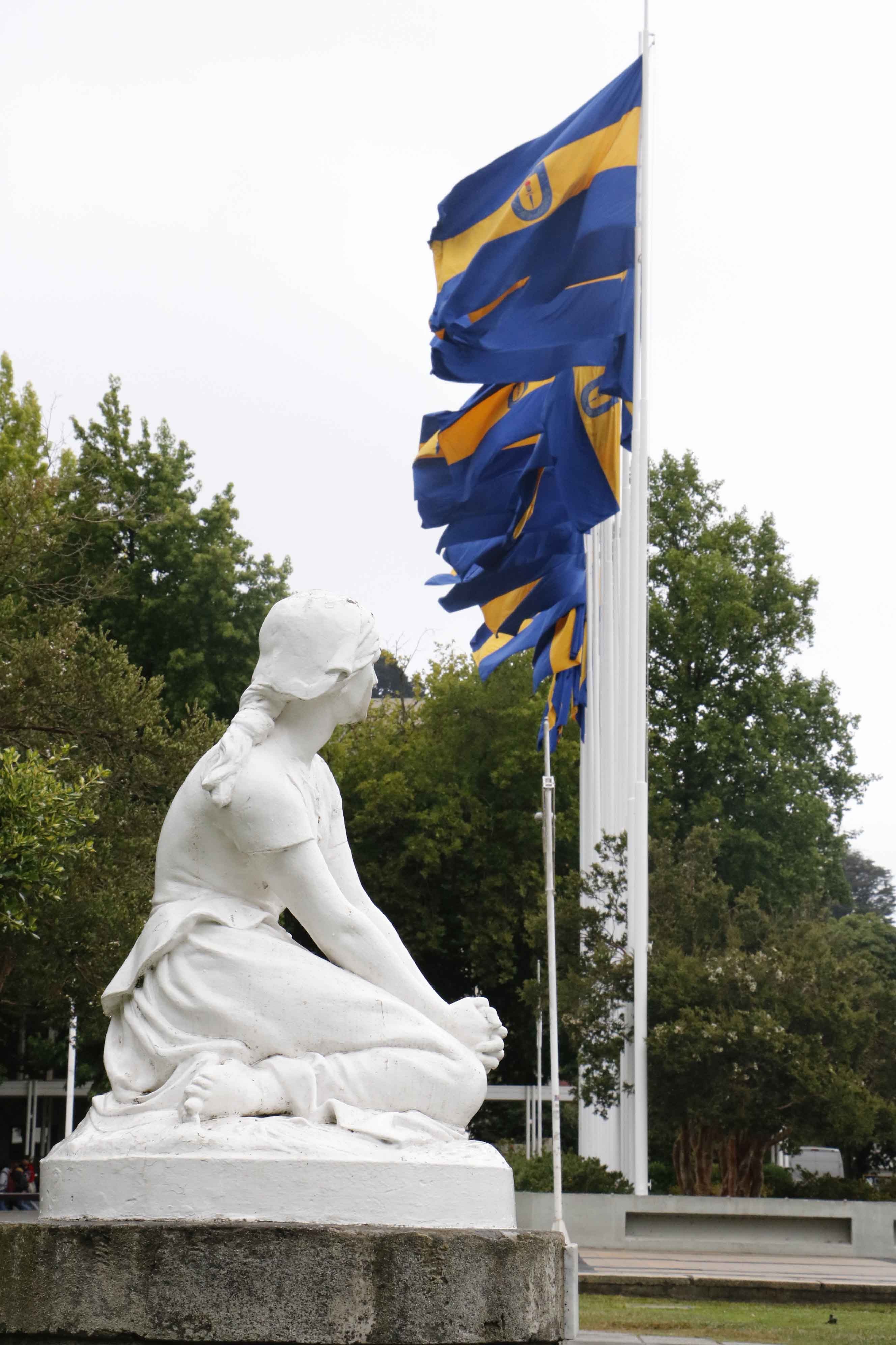 Página Principal | APCP-UDEC